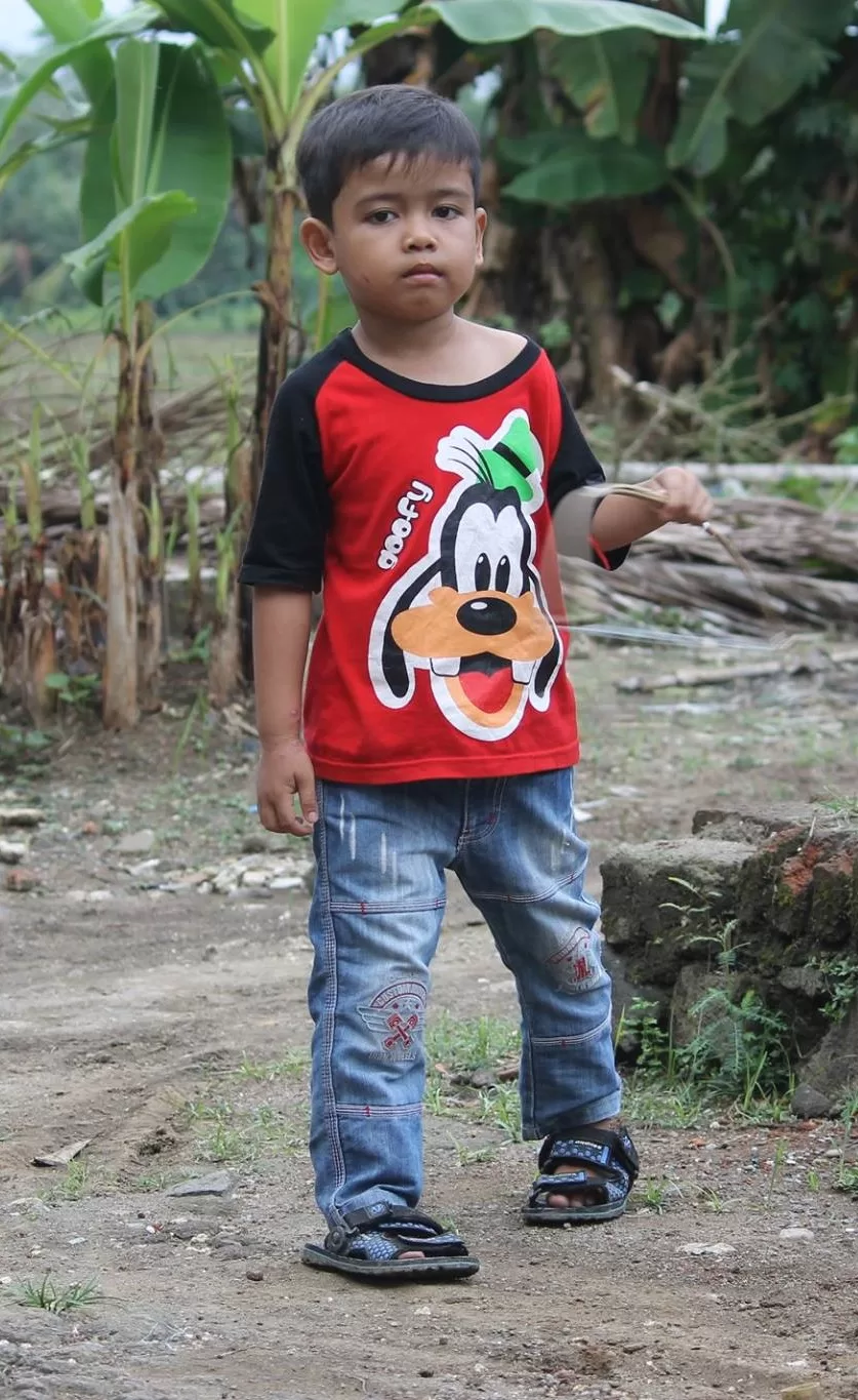 admin, Author at SJAP